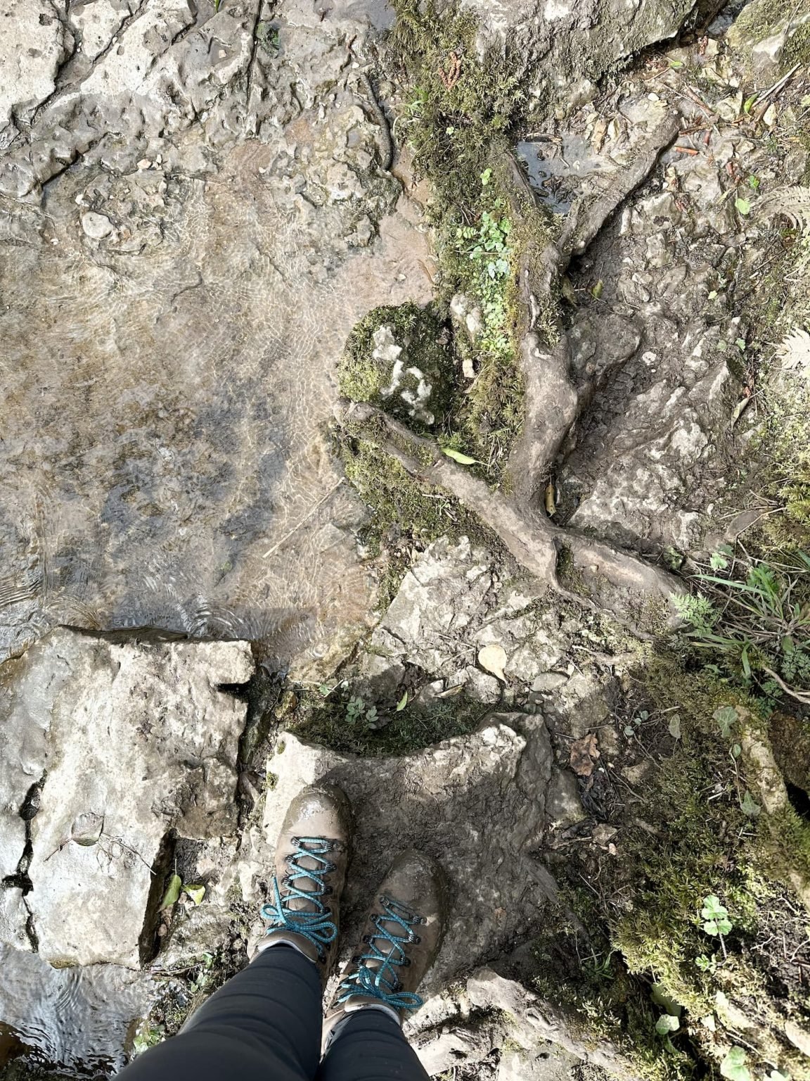 Chee Dale Stepping Stones Walk | 4 Miles
