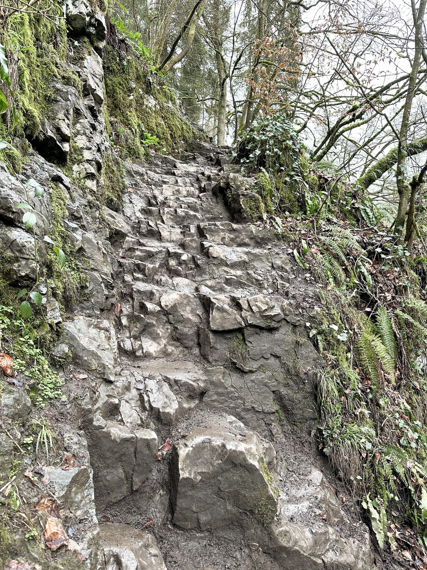 Chee Dale Stepping Stones Walk | 4 Miles