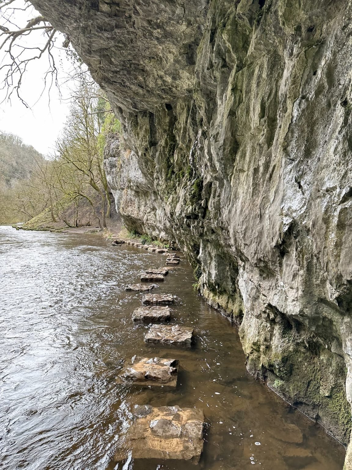 Chee Dale Stepping Stones Walk | 4 Miles