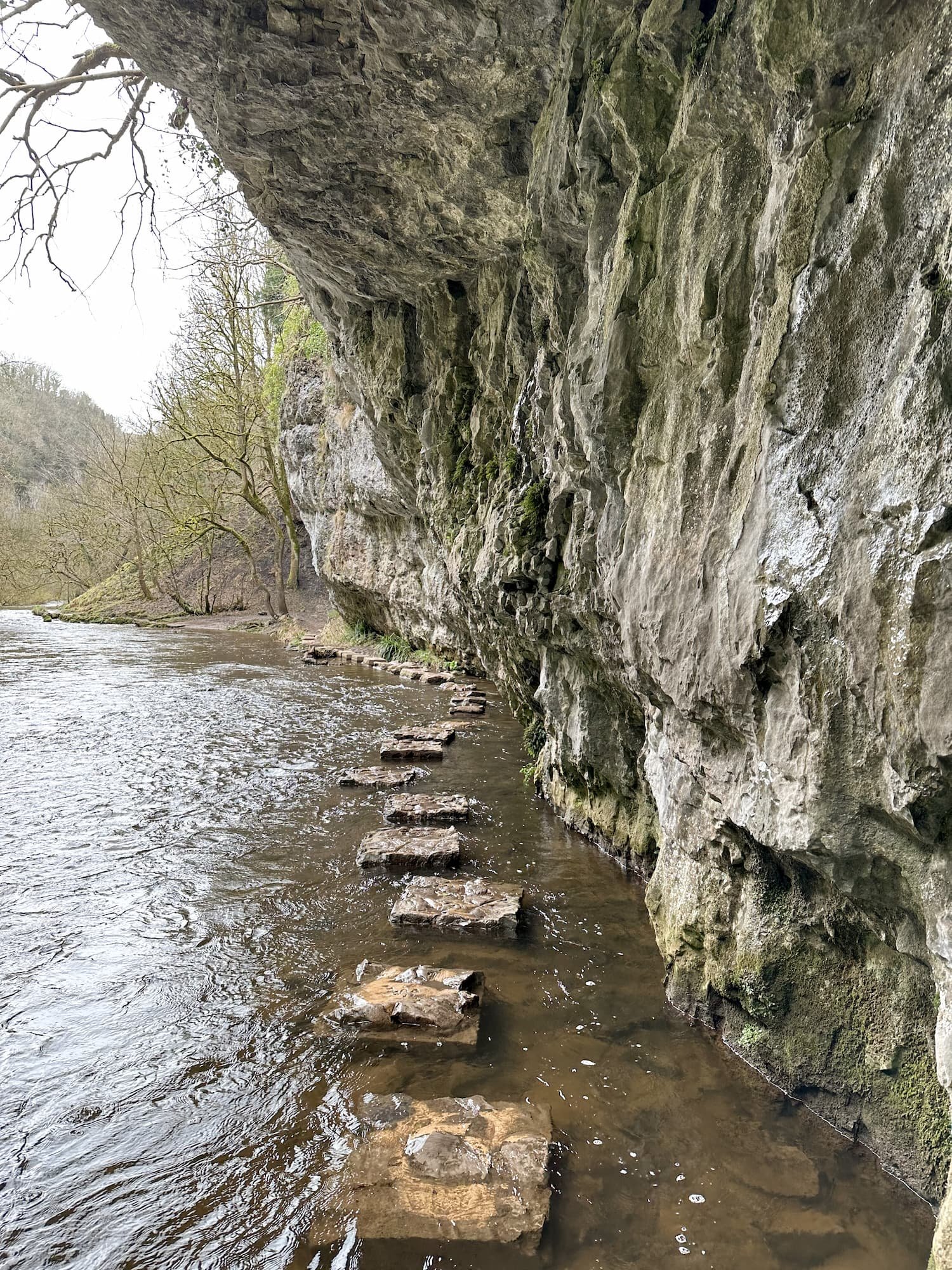 Chee Dale Stepping Stones Walk | 4 Miles