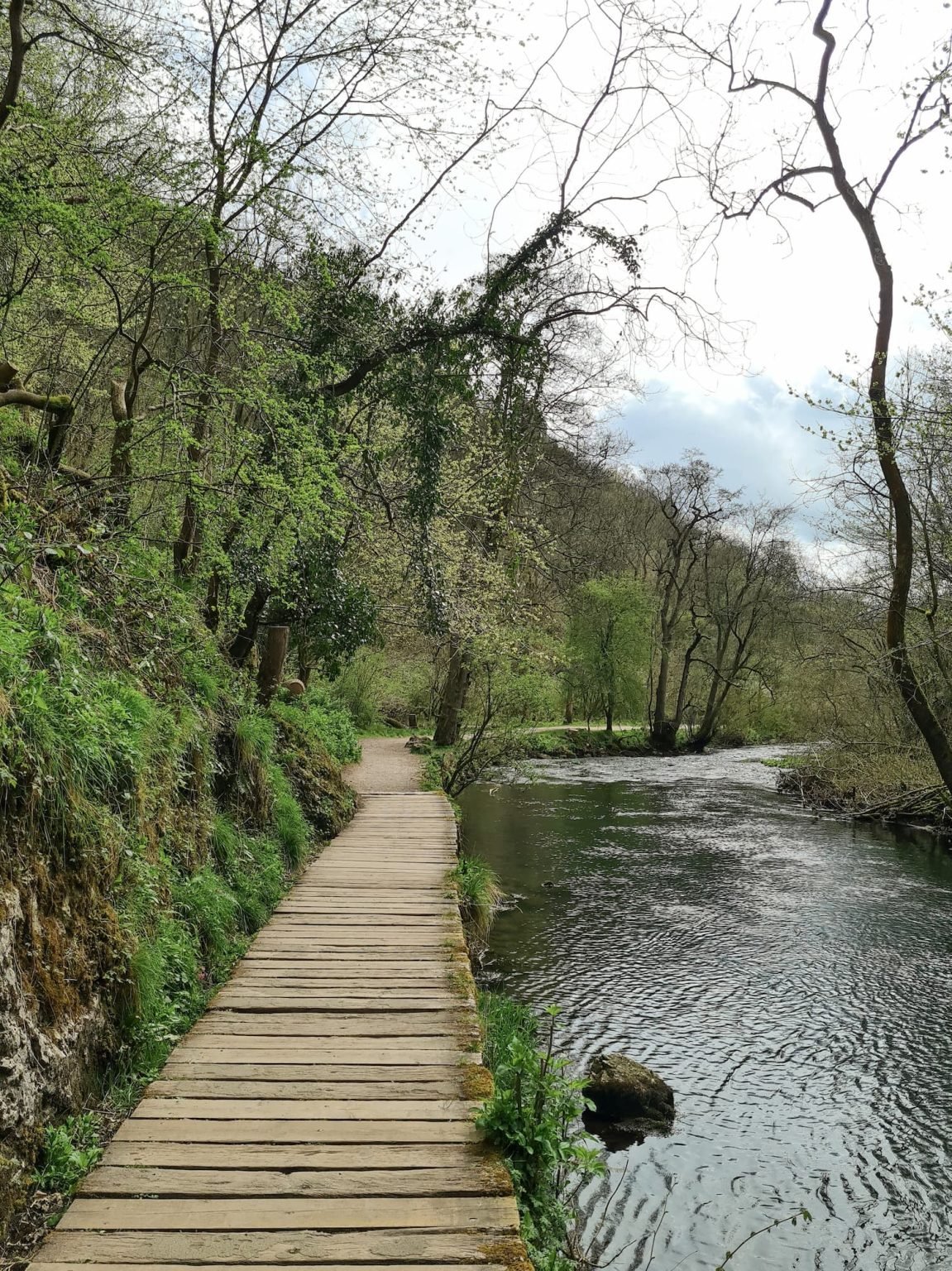Dovedale and Thorpe Cloud Walk | 7 Miles