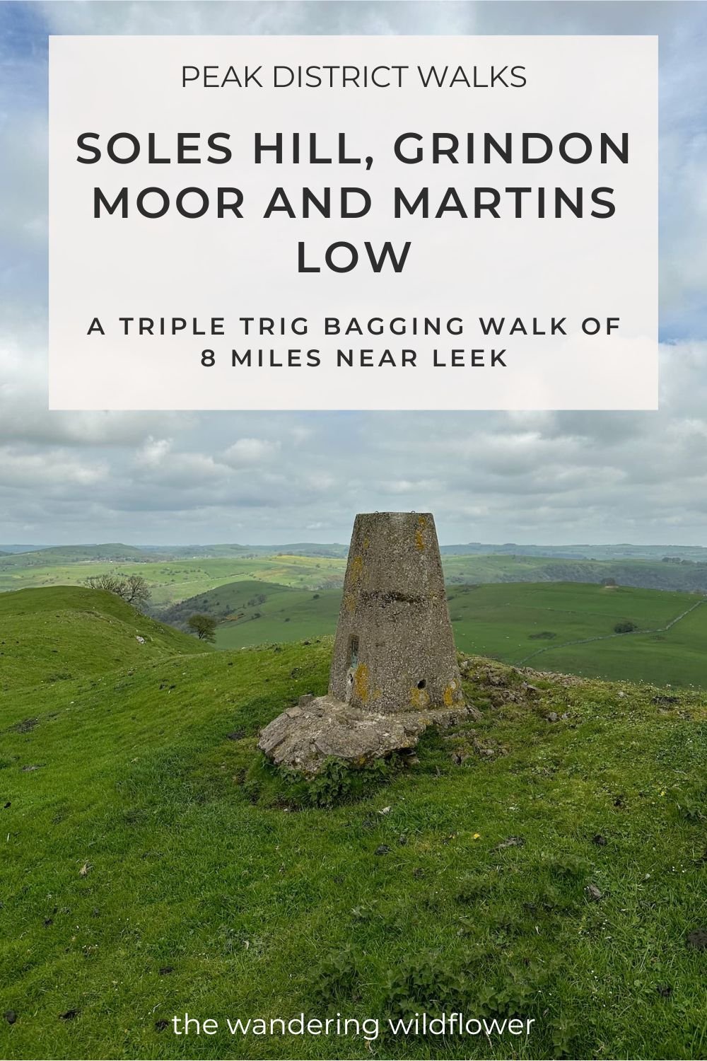 Trig Point Walk: Grindon Moor and Martins Low | 8 Miles