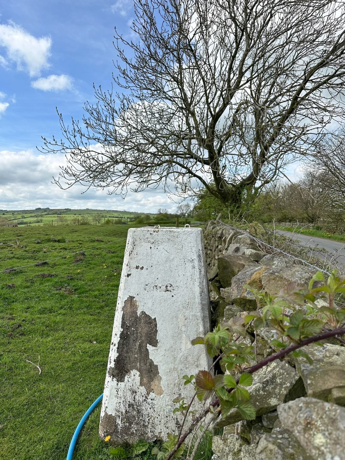 Trig Point Walk: Grindon Moor and Martins Low | 8 Miles