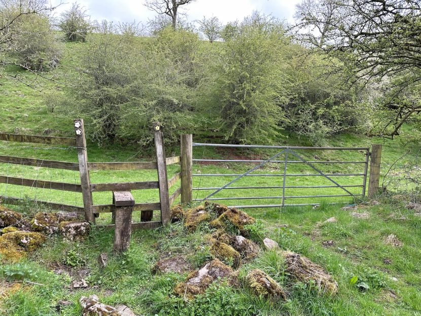 Trig Point Walk: Grindon Moor and Martins Low | 8 Miles