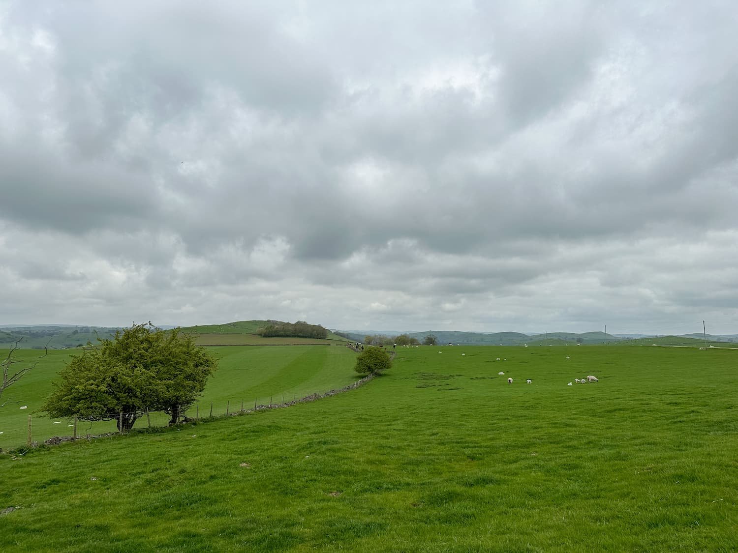 Trig Point Walk: Grindon Moor and Martins Low | 8 Miles