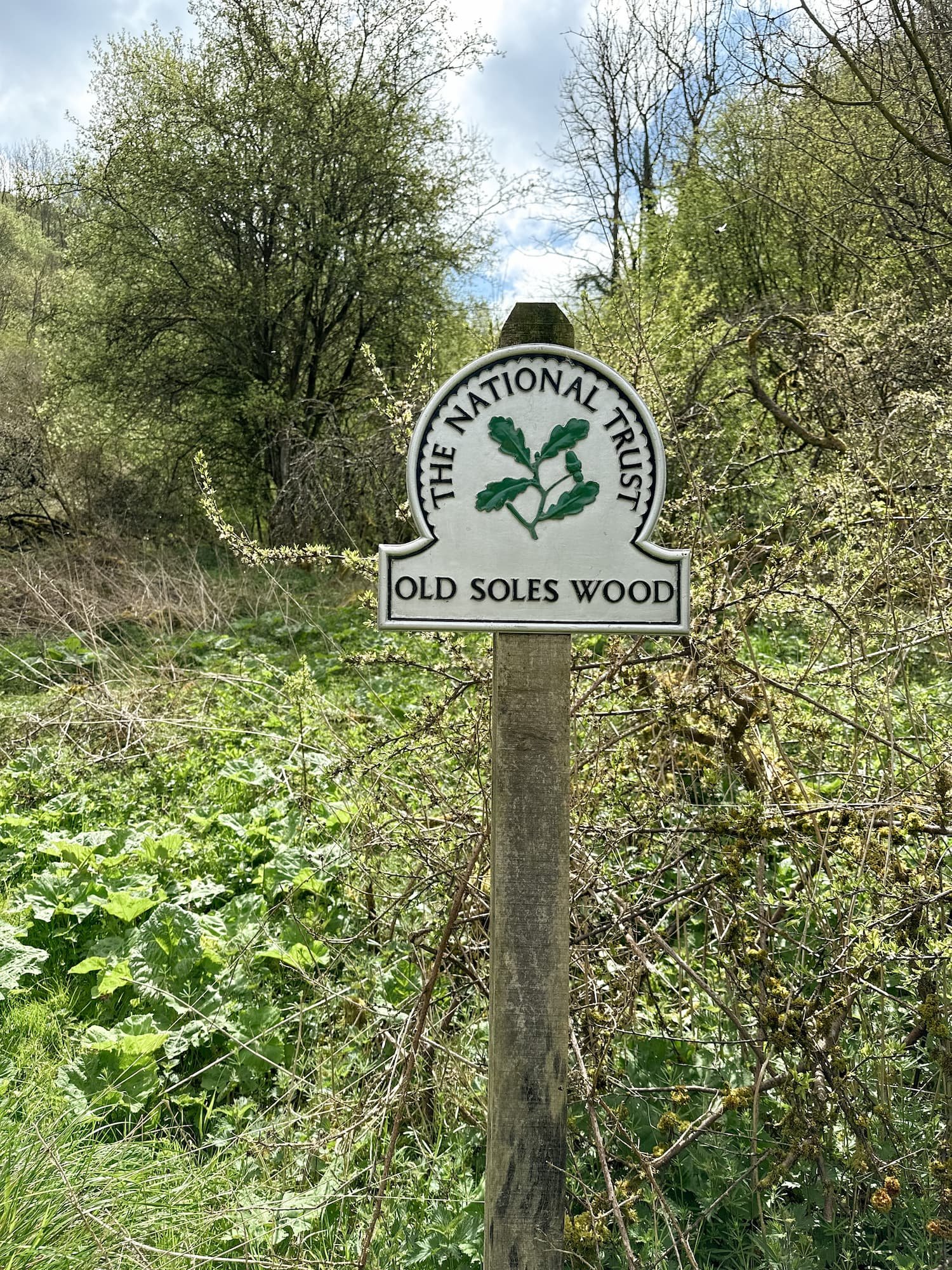 Trig Point Walk: Grindon Moor and Martins Low | 8 Miles