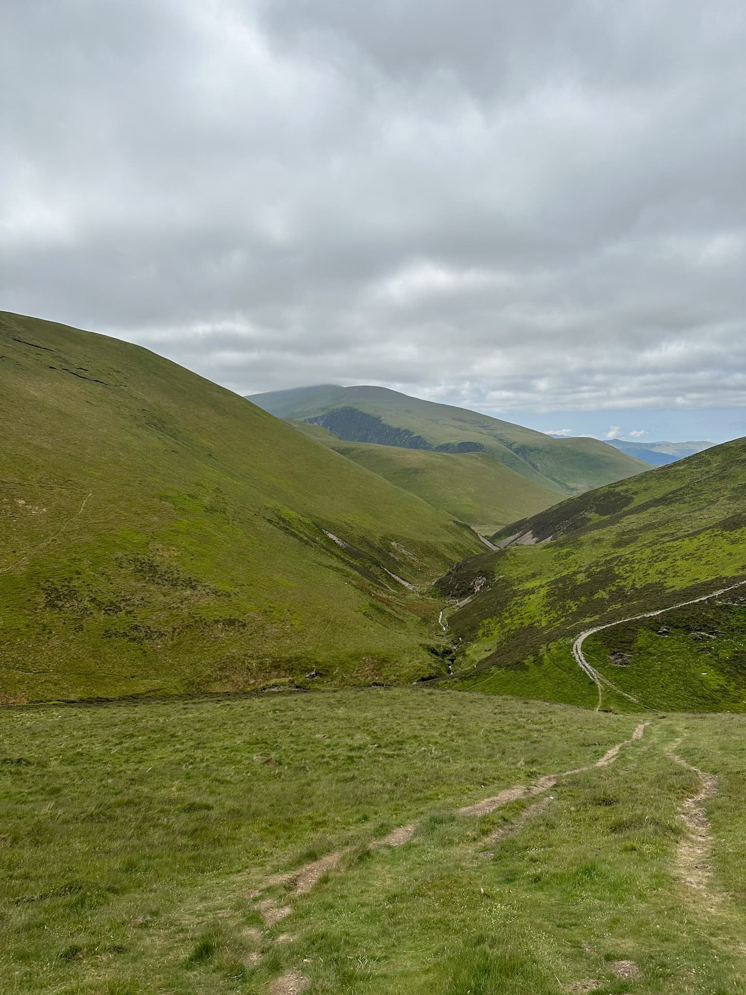 Uldale Fells Circular | 8 Miles | The Wandering Wildflower