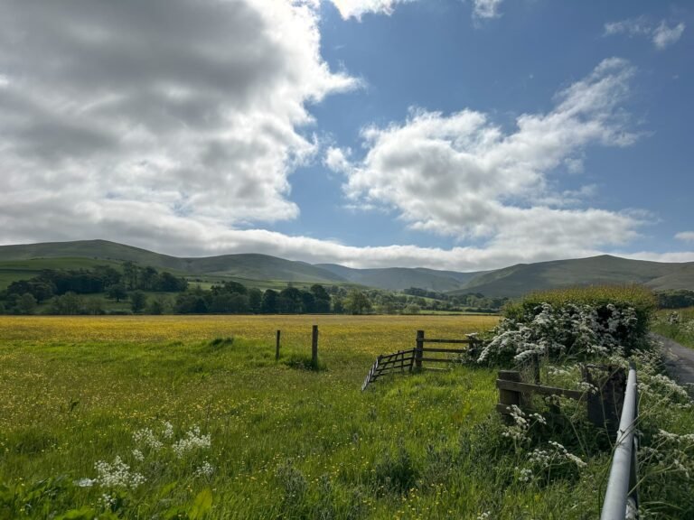 Uldale Fells Circular | 8 Miles | The Wandering Wildflower