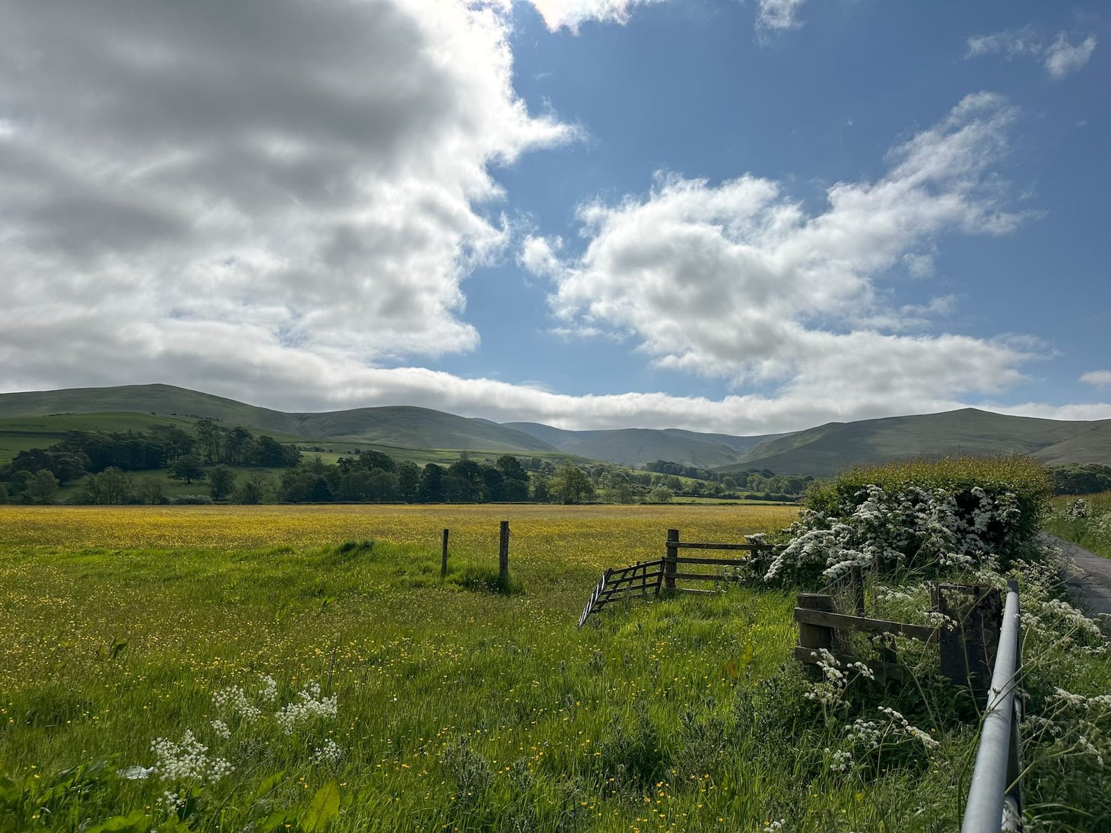 Uldale Fells Circular | 8 Miles | The Wandering Wildflower