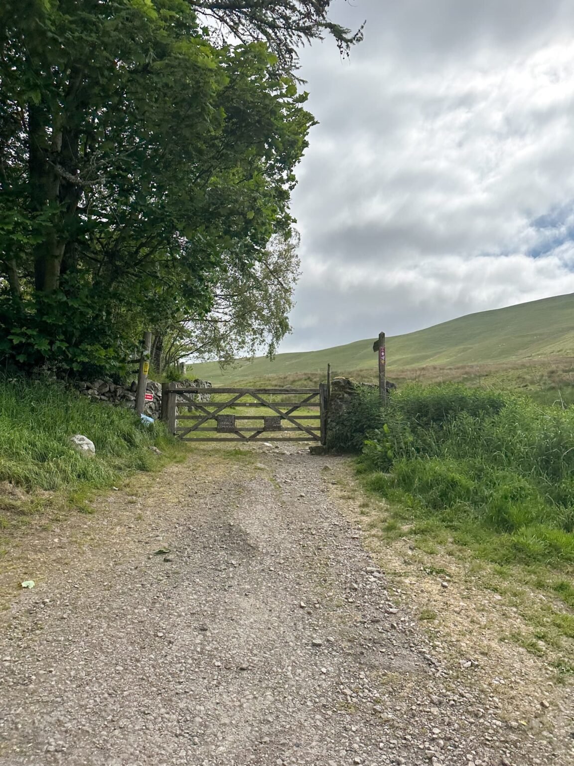 Uldale Fells Circular | 8 Miles | The Wandering Wildflower
