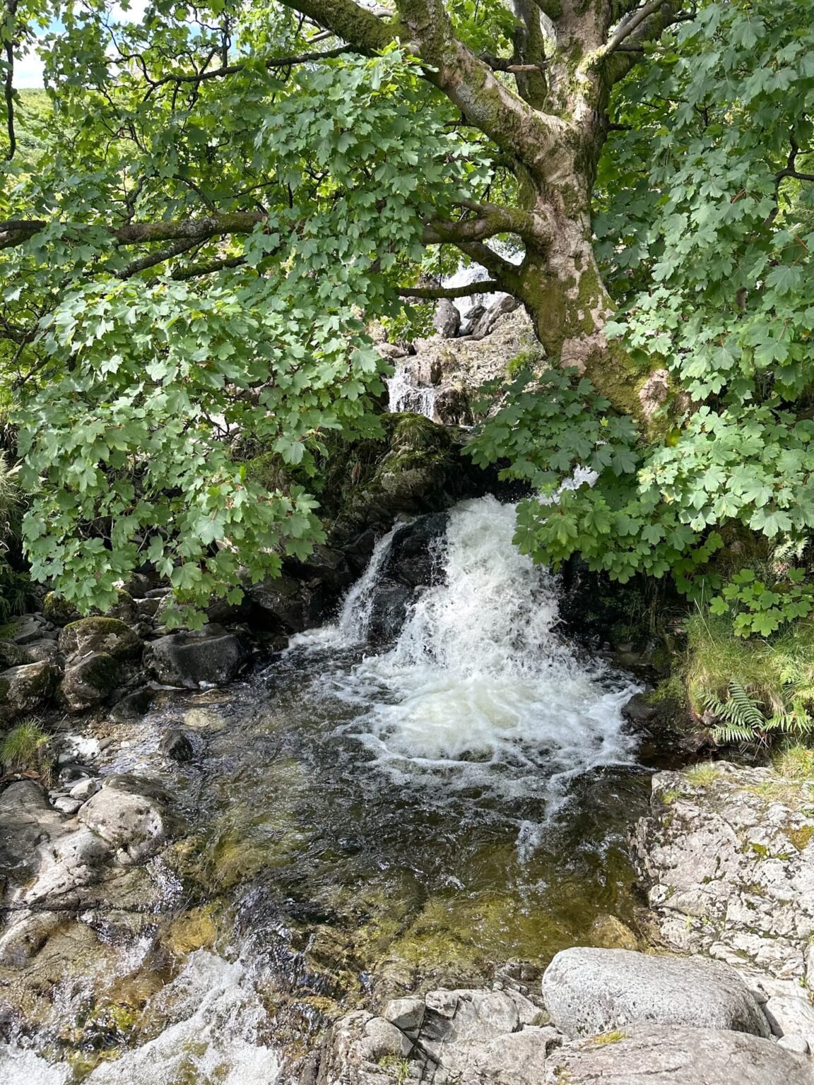 Mardale Horseshoe | 10 Miles - 7 Wainwrights Walk