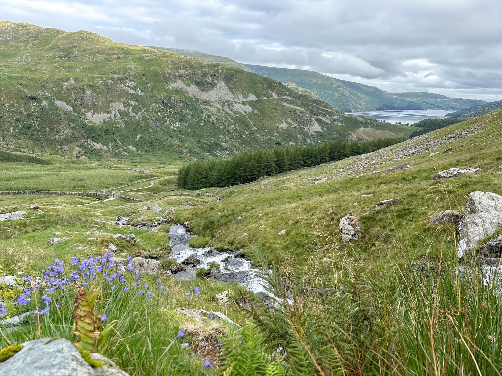 Mardale Horseshoe | 10 Miles - 7 Wainwrights Walk