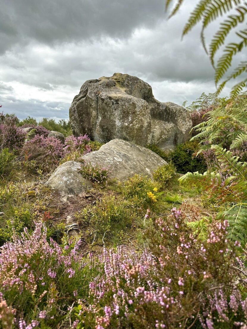 Stanton Moor Walk [Cork Stone and Nine Ladies Stone Circle]