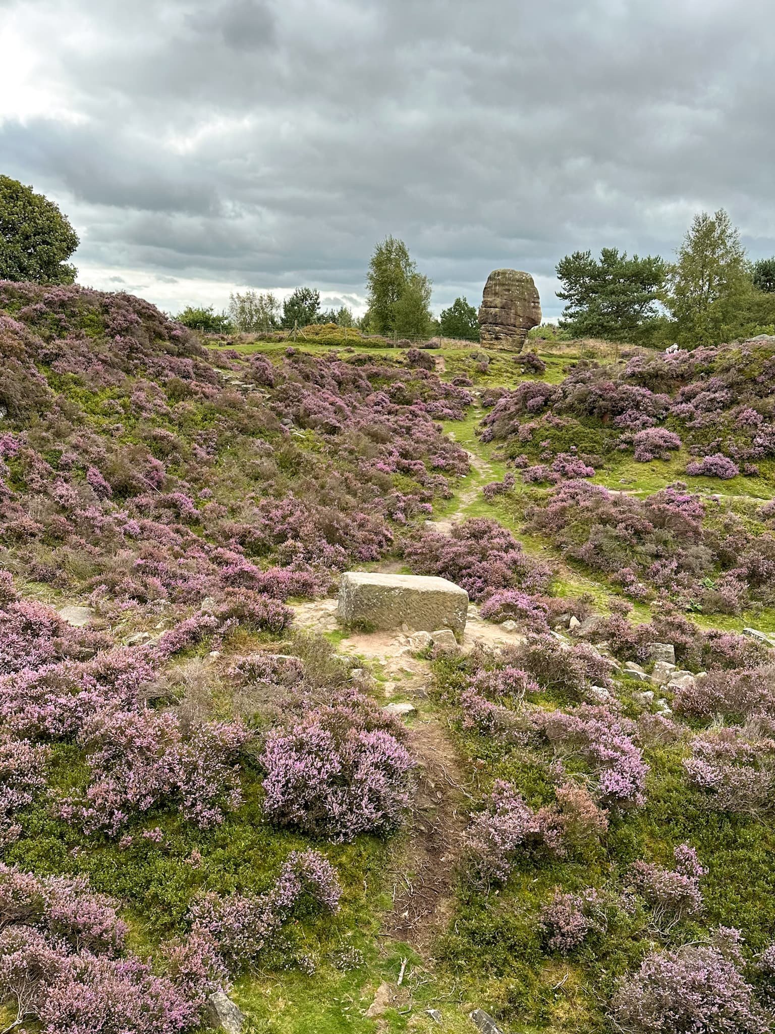 Stanton Moor Walk [Cork Stone and Nine Ladies Stone Circle]