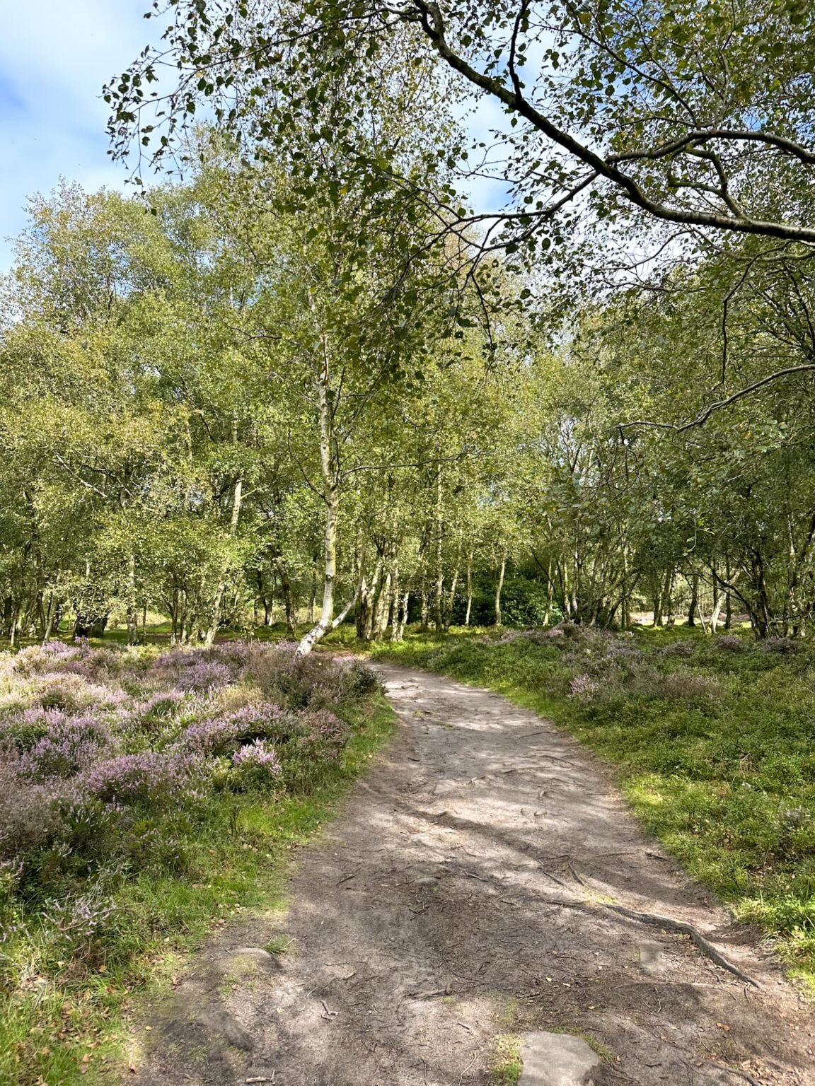 The Most Beautiful Peak District Walks for Autumn | The Wandering ...