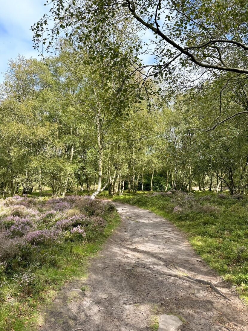 The Most Beautiful Peak District Walks for Autumn | The Wandering ...