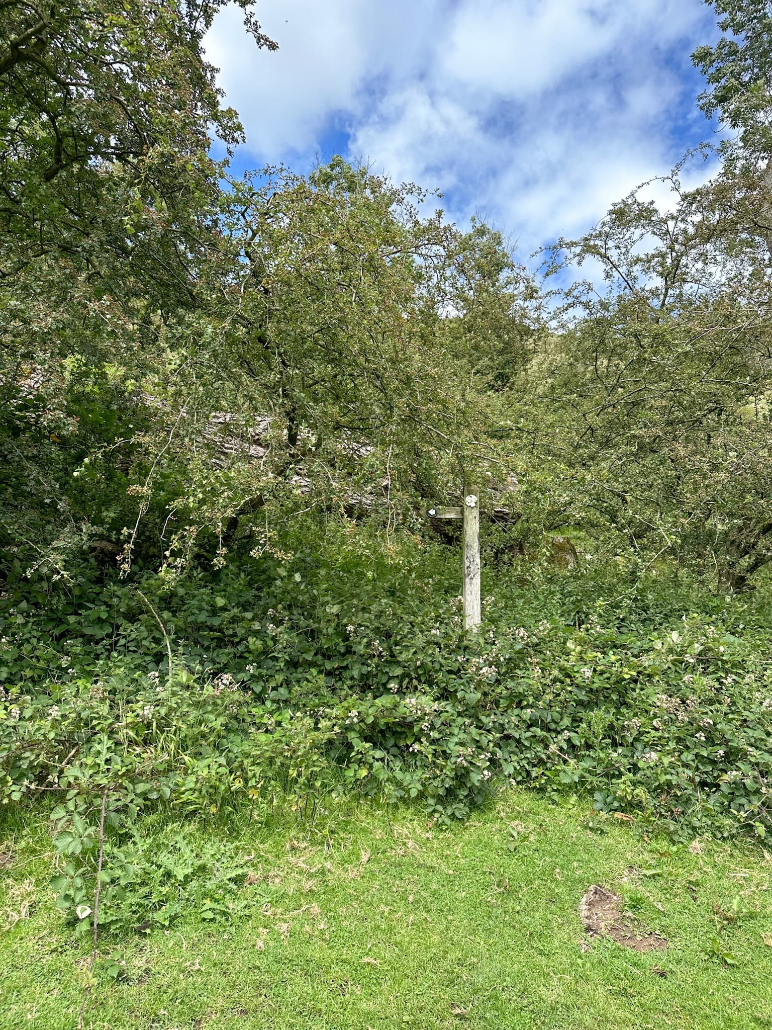 Thor's Cave Walk | 6.5 Miles | The Wandering Wildflower