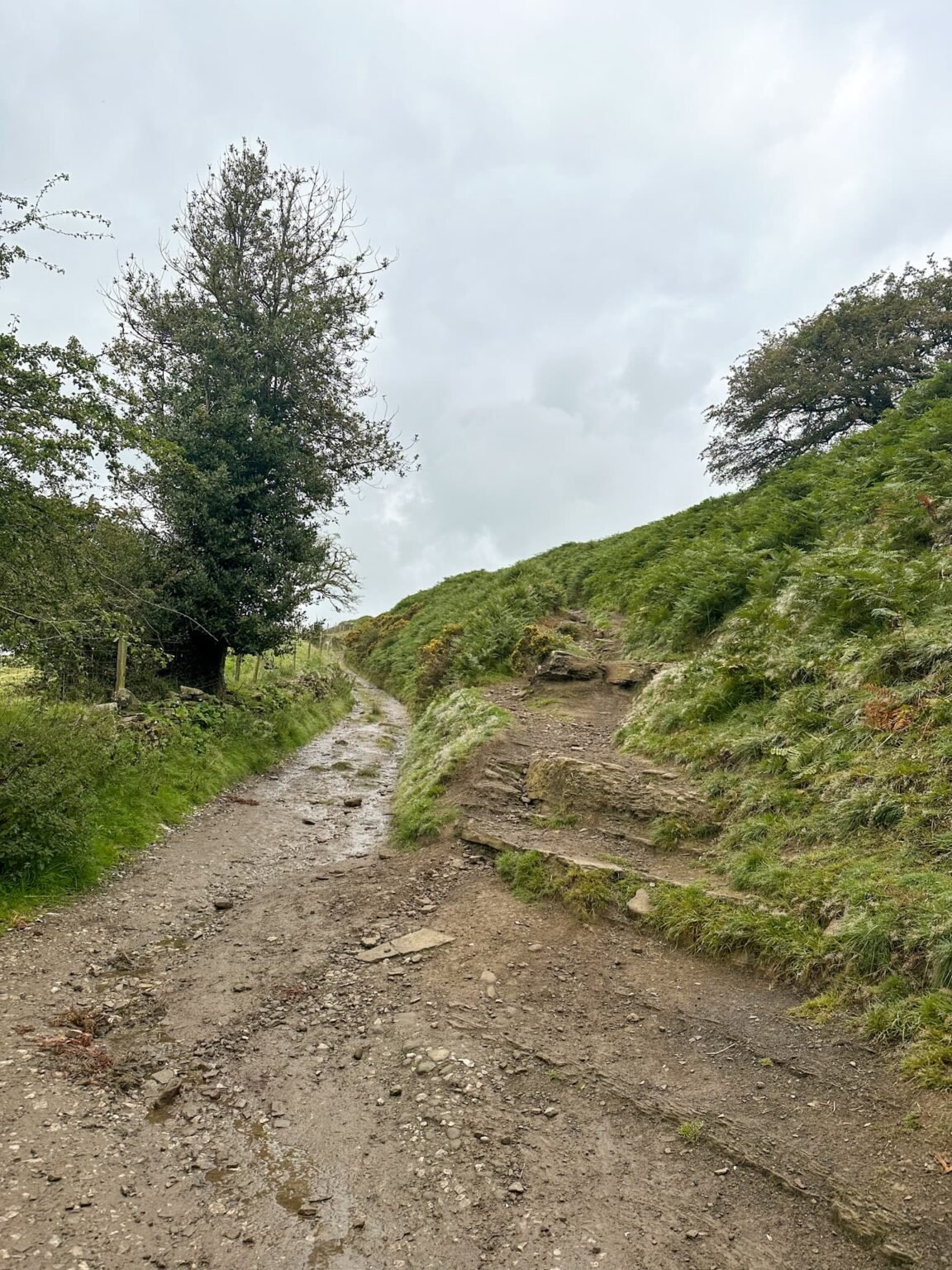 Lose Hill and Win Hill Circular Walk from Hope | 8.5 Miles