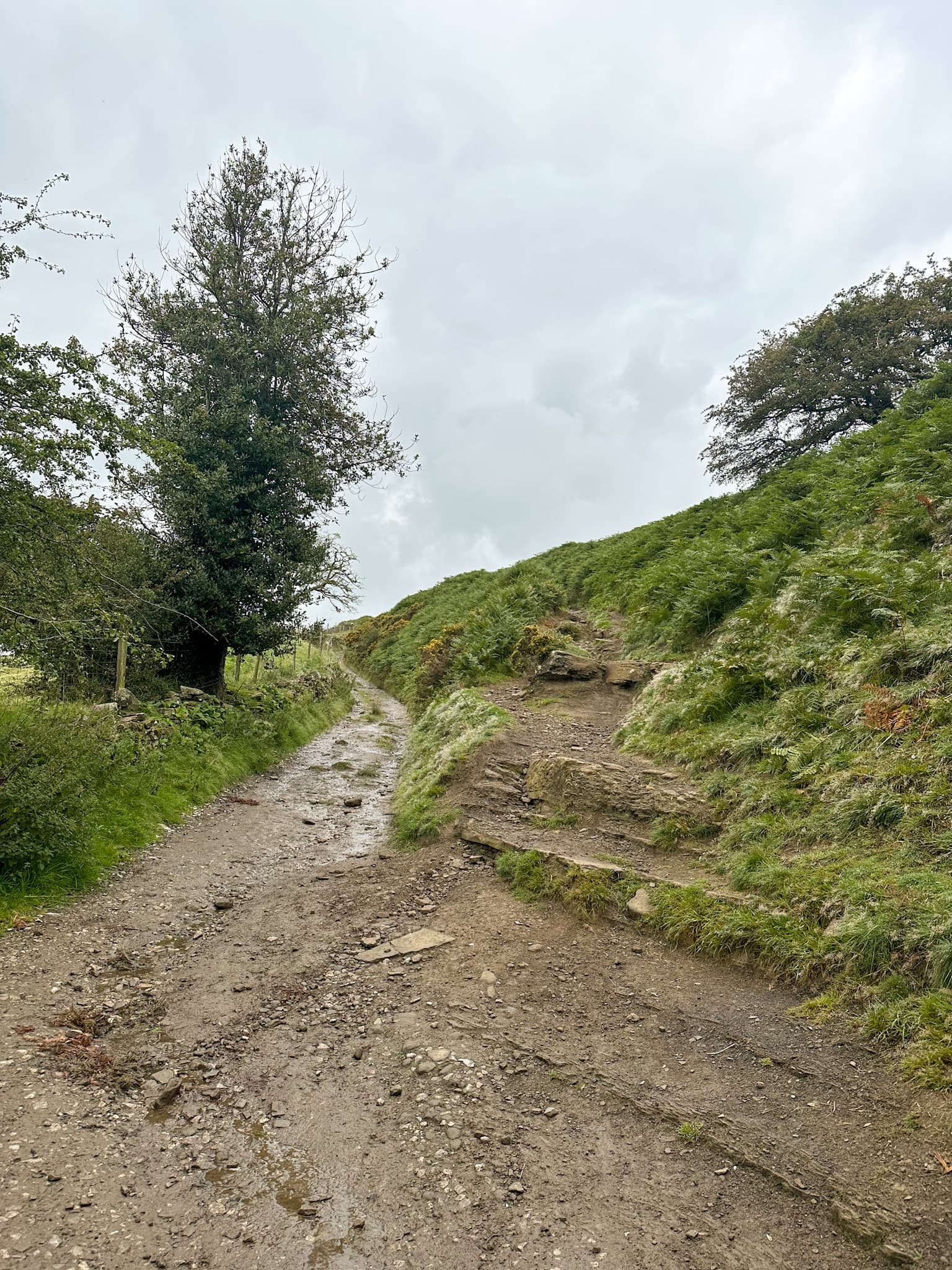 Lose Hill and Win Hill Circular Walk from Hope | 8.5 Miles