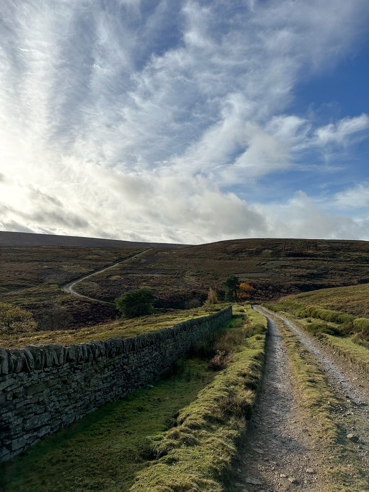 Langsett Reservoir and Langsett Moors Circular Walk | 5 Miles