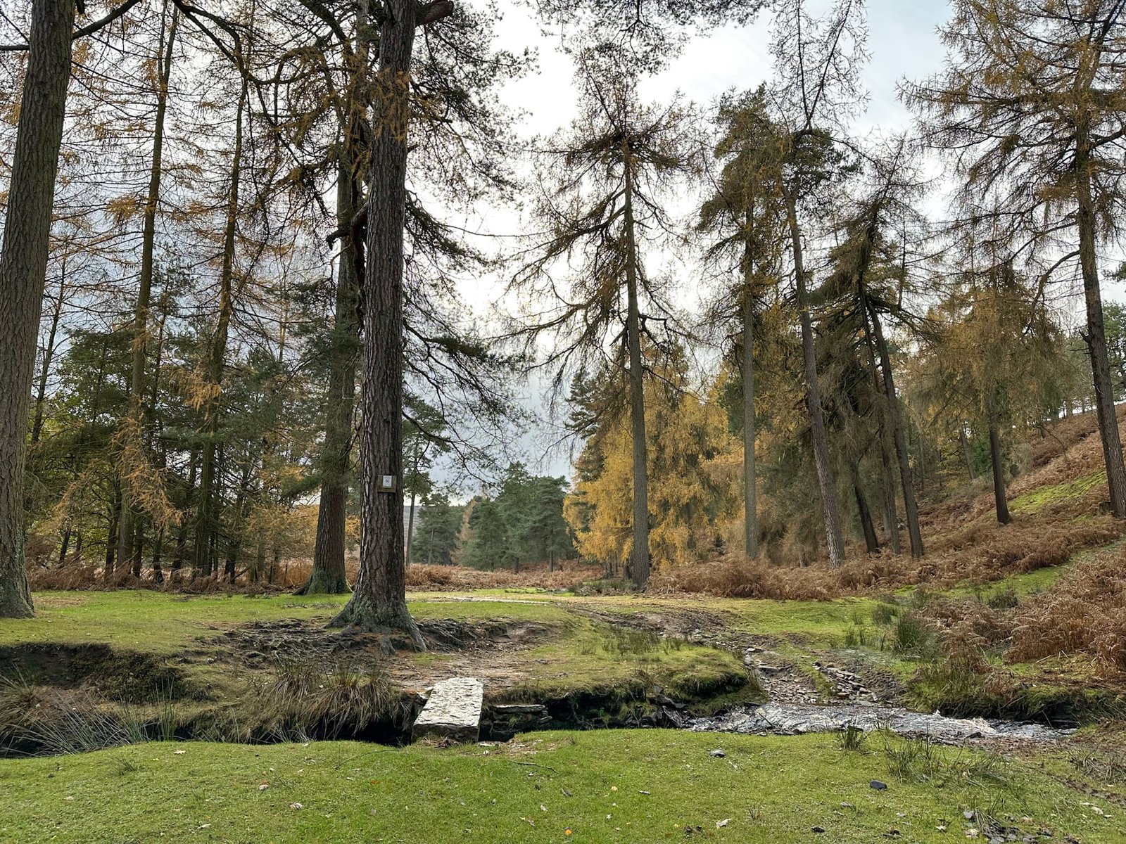 Langsett Reservoir and Langsett Moors Circular Walk | 5 Miles