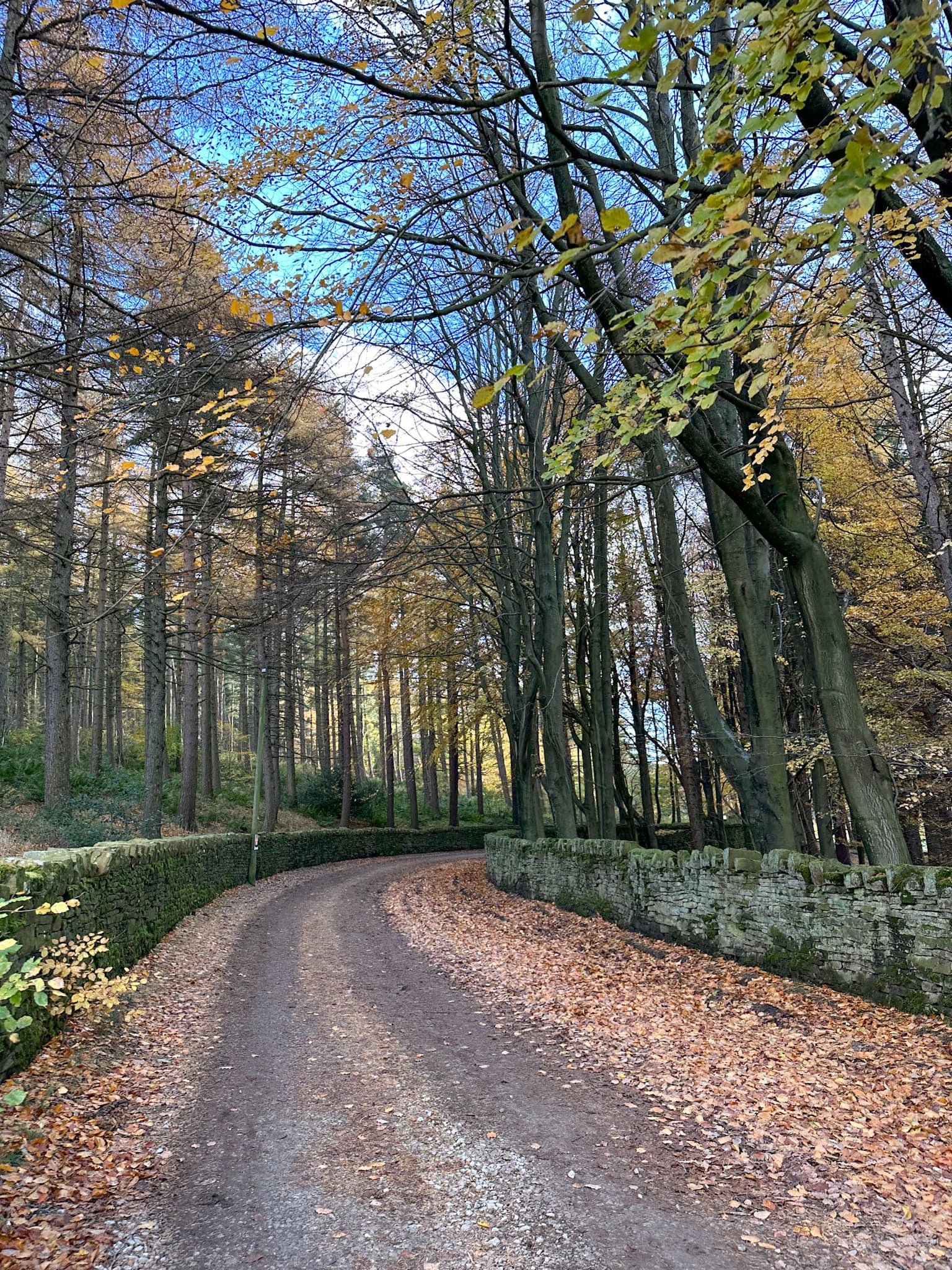 Riding Wood and Ramsden Reservoir Circular Walk | 3 Miles
