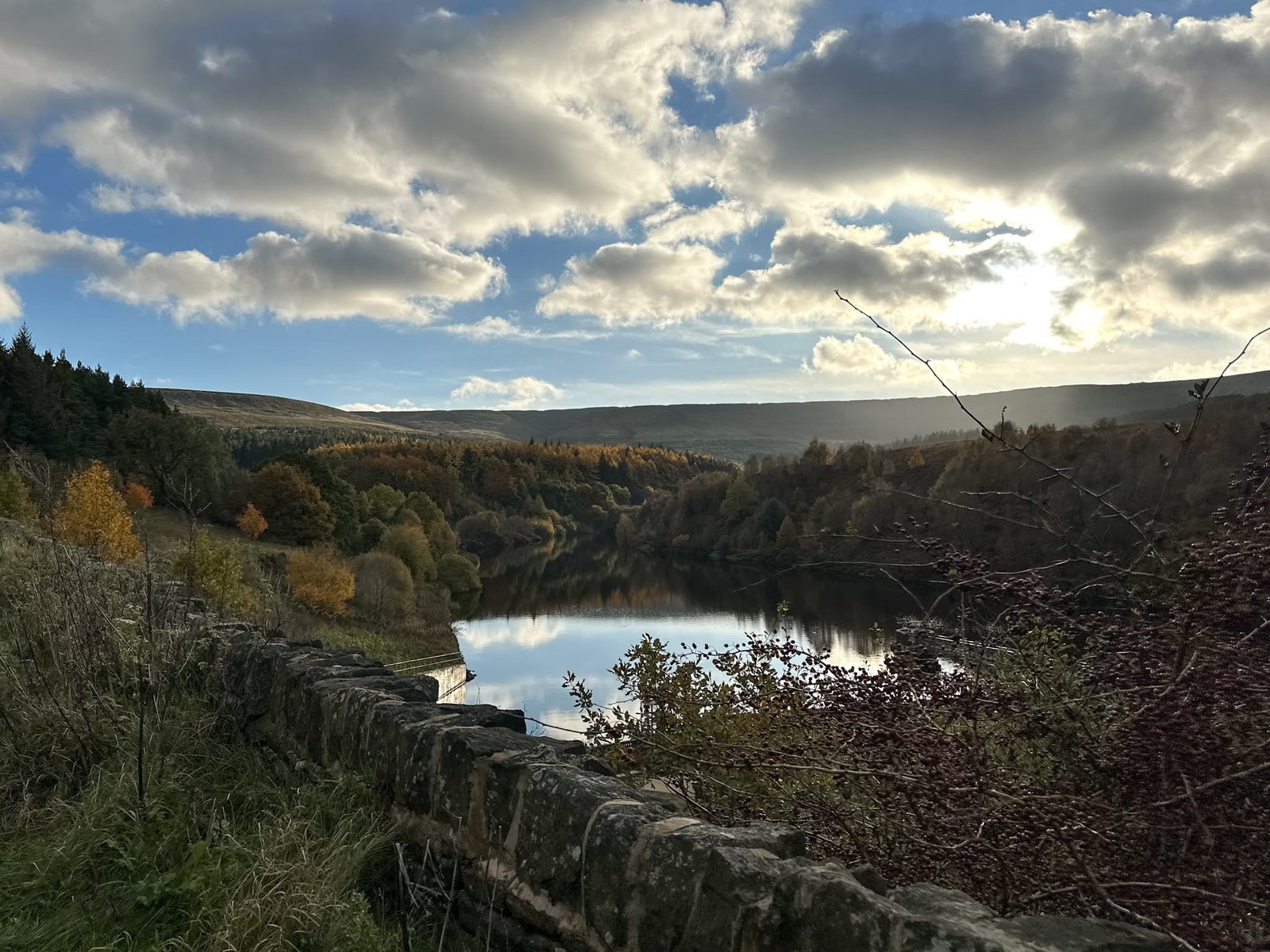 Riding Wood and Ramsden Reservoir Circular Walk | 3 Miles