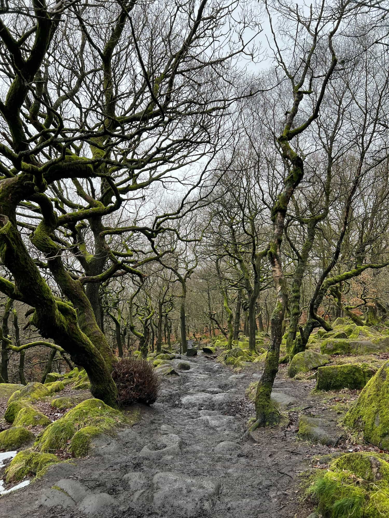 Beautiful Winter Walks in the Peak District | The Wandering Wildflower