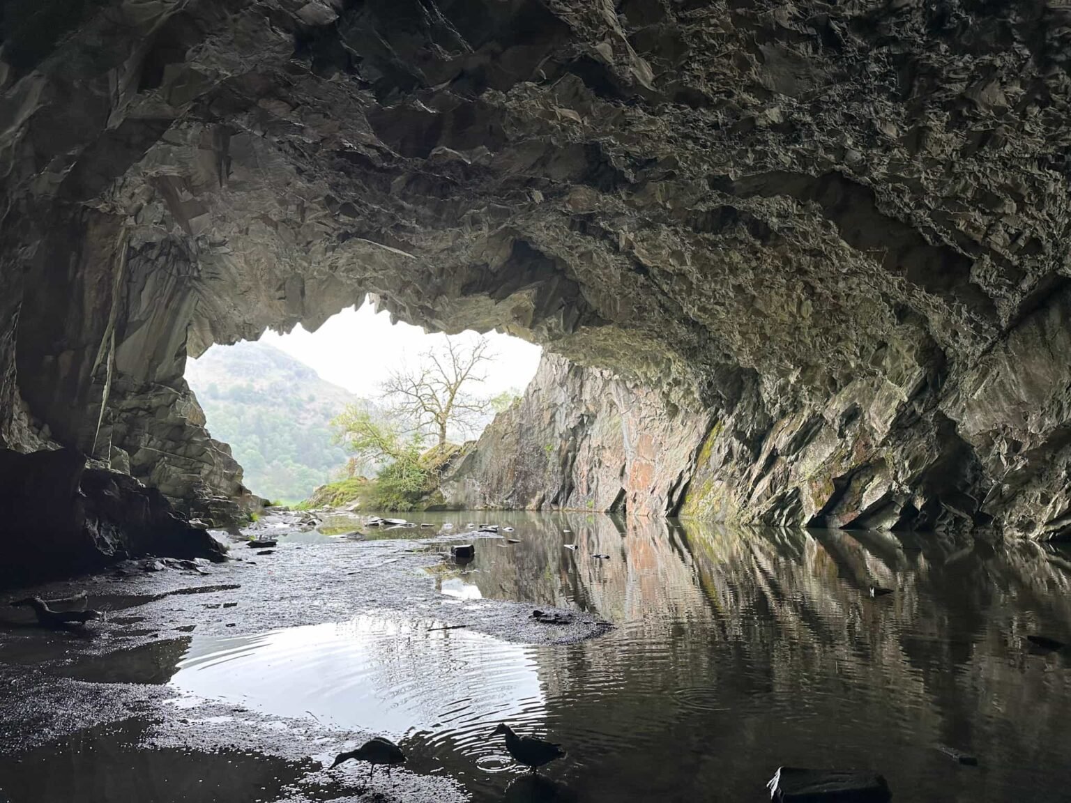 Cathedral Cave and Hodge Close Quarry | 4 Miles | The Wandering Wildflower