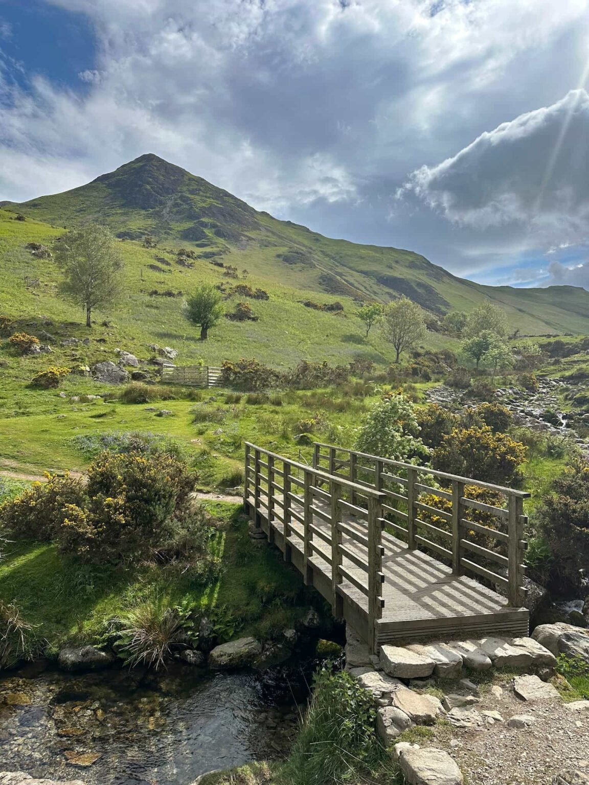 Rannerdale Knotts [and the Bluebells] | 4 Miles