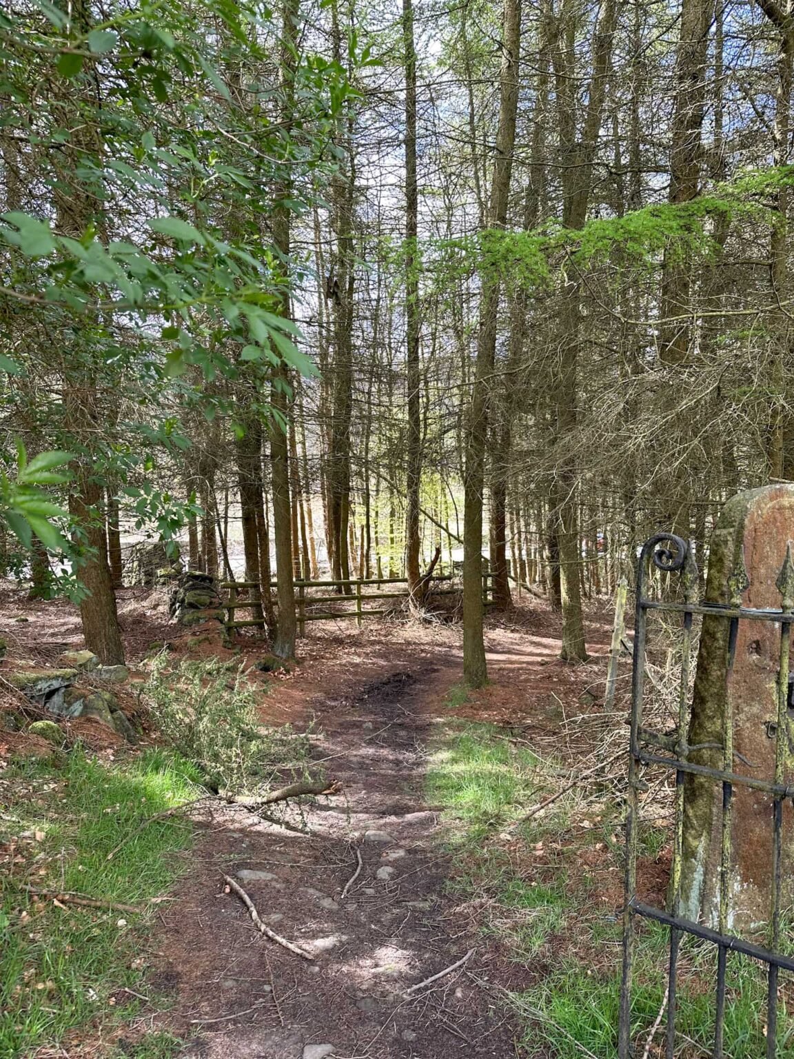 Torside Reservoirs Walk | 13 Miles | The Wandering Wildflower