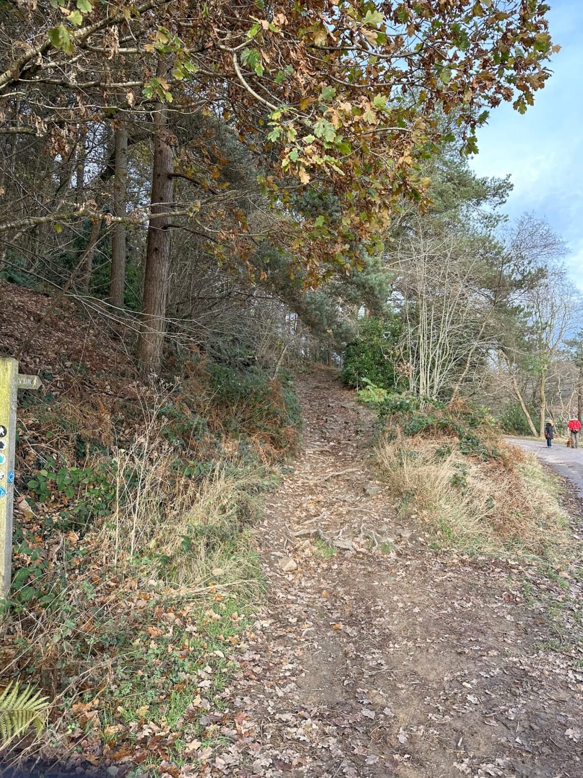 Win Hill and Ladybower Reservoir Loop | 8 Miles | The Wandering Wildflower