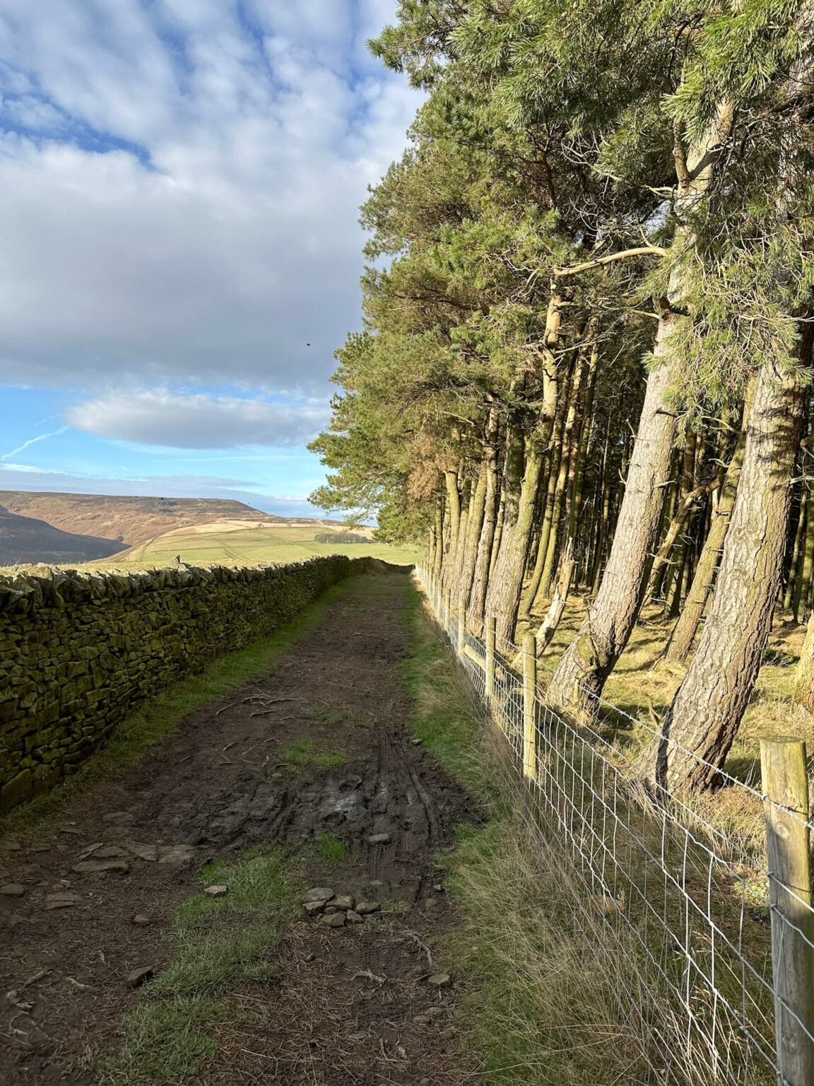 Win Hill and Ladybower Reservoir Loop | 8 Miles | The Wandering Wildflower