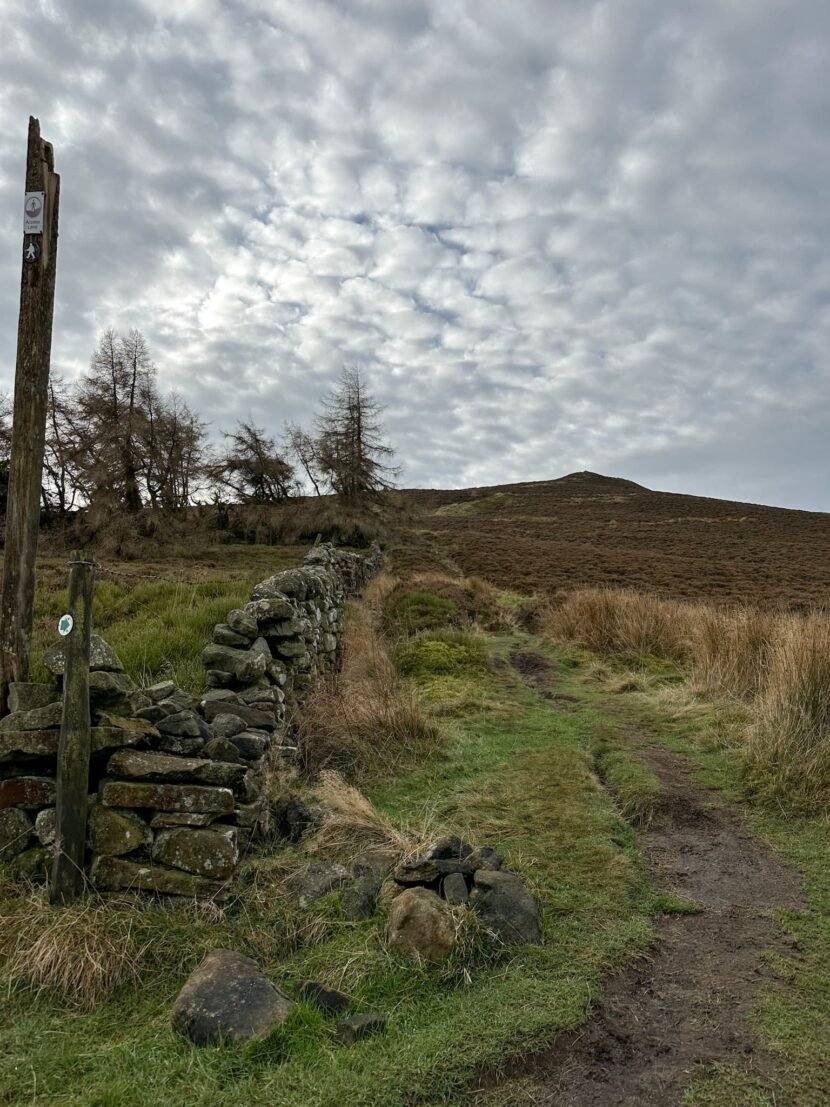Win Hill and Ladybower Reservoir Loop | 8 Miles | The Wandering Wildflower