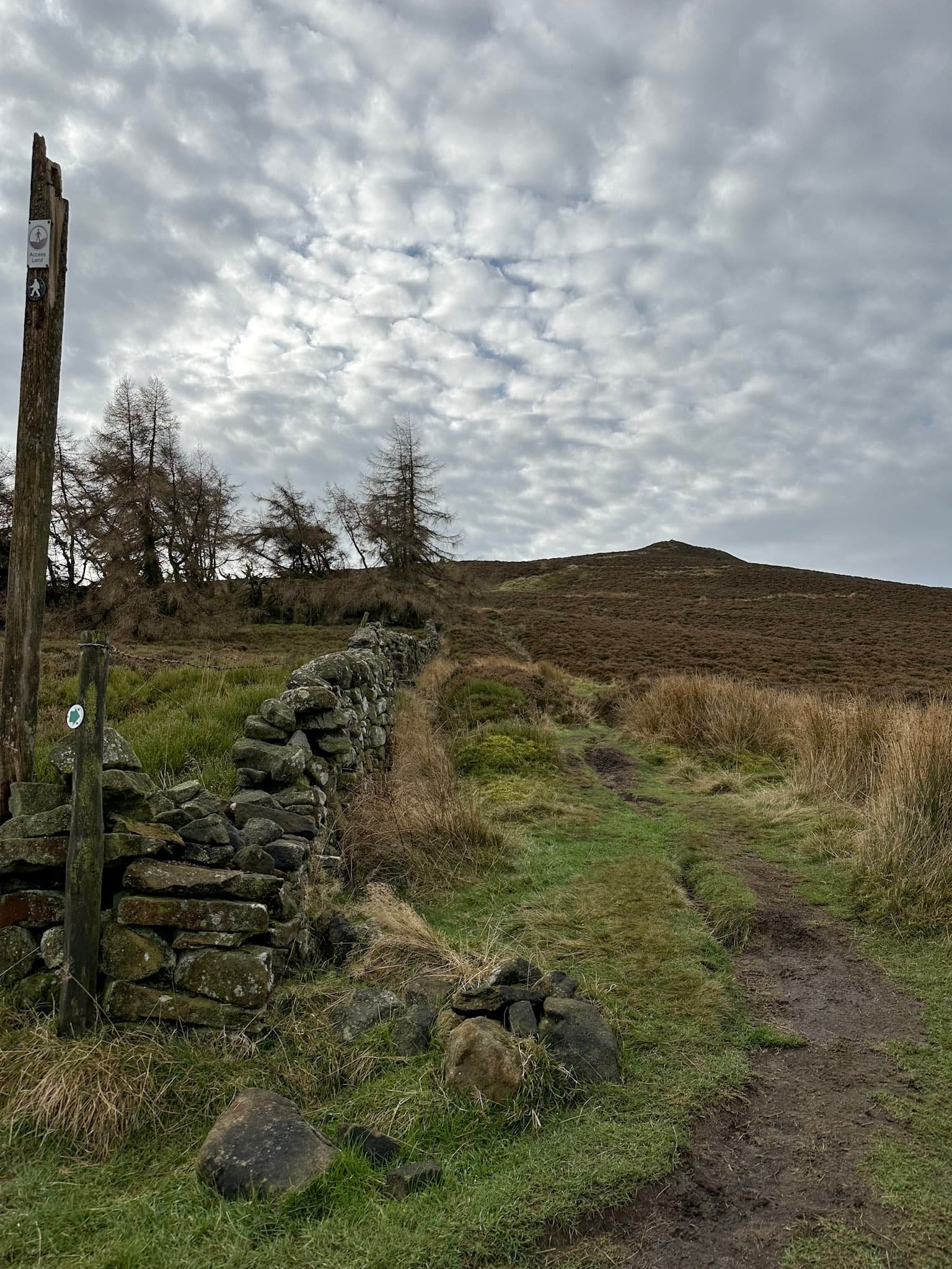 Win Hill and Ladybower Reservoir Loop | 8 Miles | The Wandering Wildflower