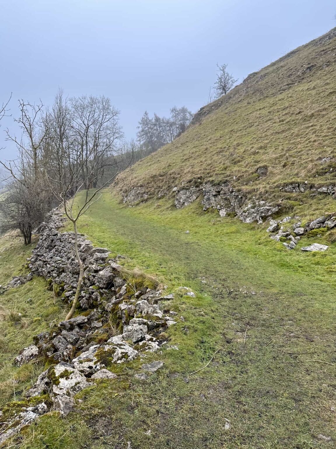 Lathkill Dale Waterfall Walk | 7 Miles | The Wandering Wildflower