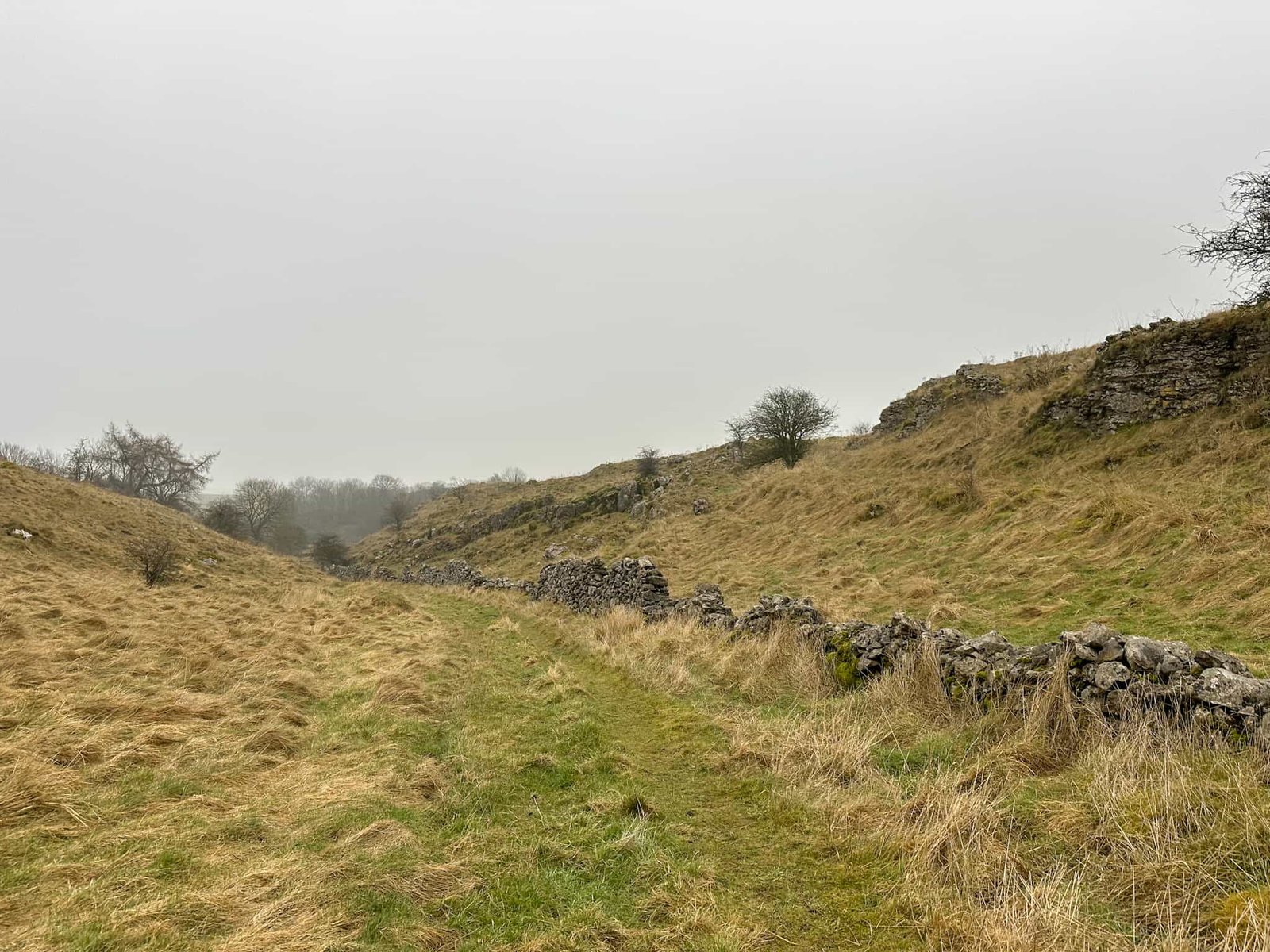 Lathkill Dale Waterfall Walk | 7 Miles | The Wandering Wildflower