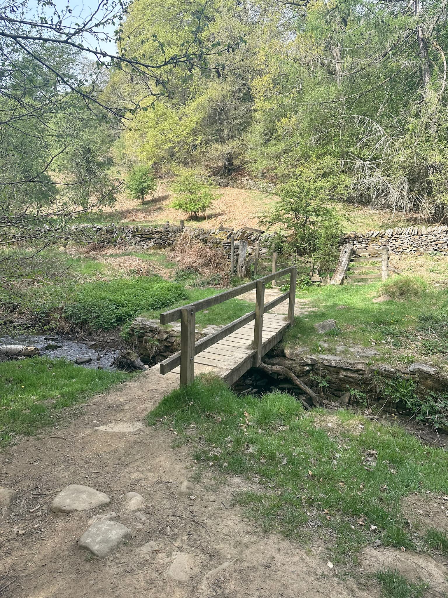 Hathersage Stepping Stones Walk | 7 Miles | The Wandering Wildflower