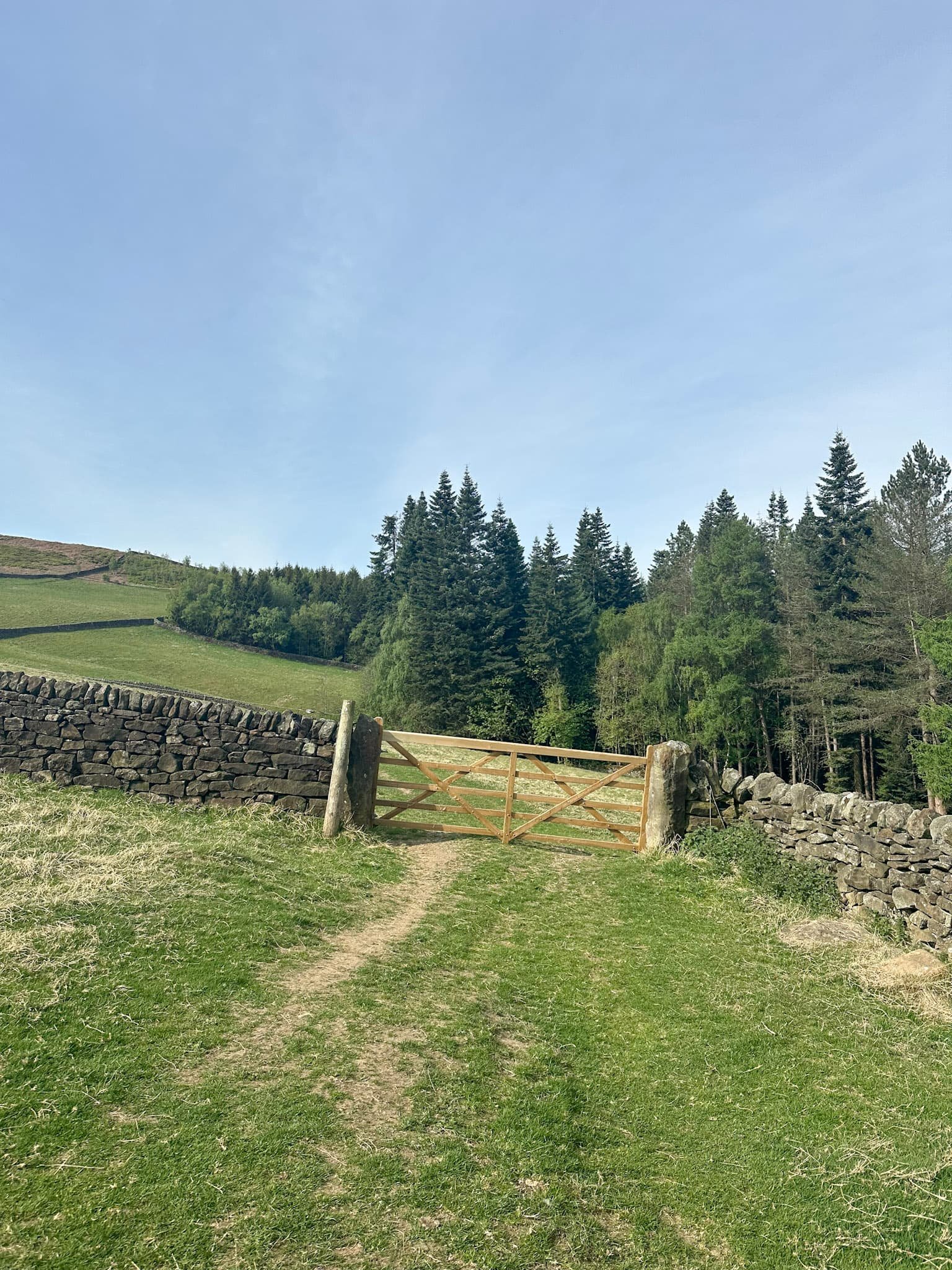 Hathersage Stepping Stones Walk | 7 Miles | The Wandering Wildflower