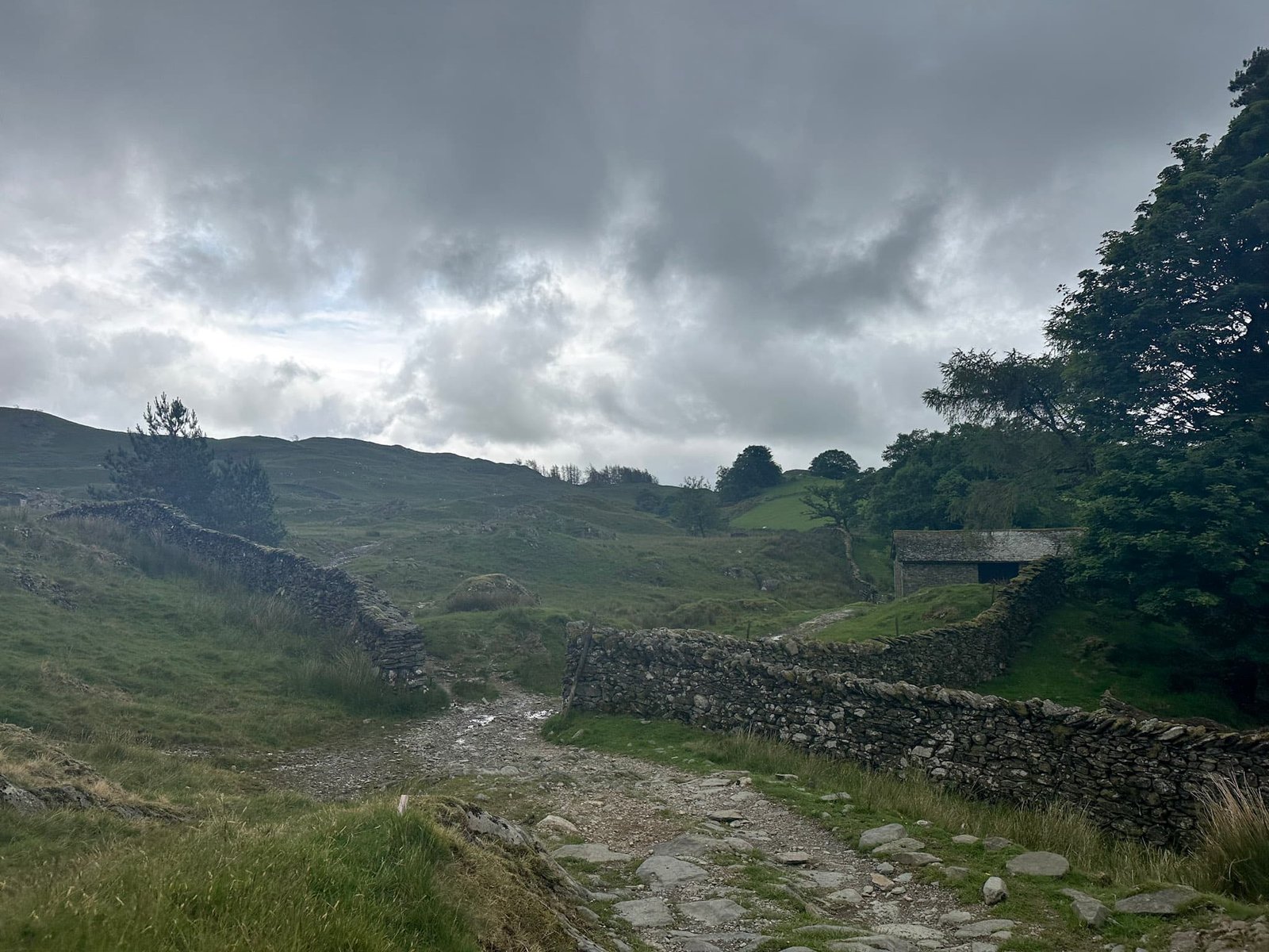 Holme Fell, Black Fell and Tarn Hows Waterfalls | 7 Miles