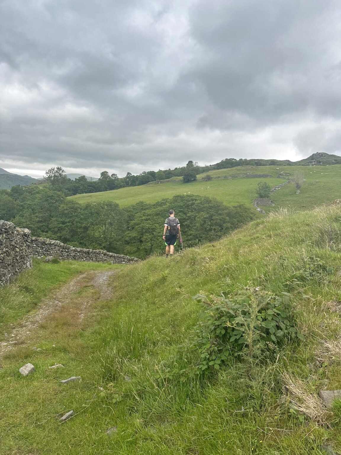 Holme Fell, Black Fell and Tarn Hows Waterfalls | 7 Miles