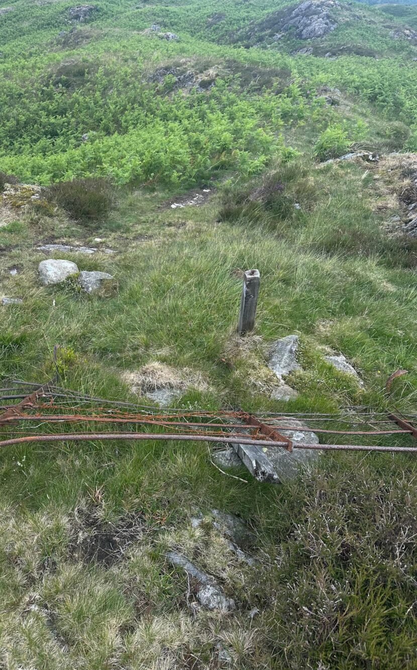 Holme Fell, Black Fell and Tarn Hows Waterfalls | 7 Miles