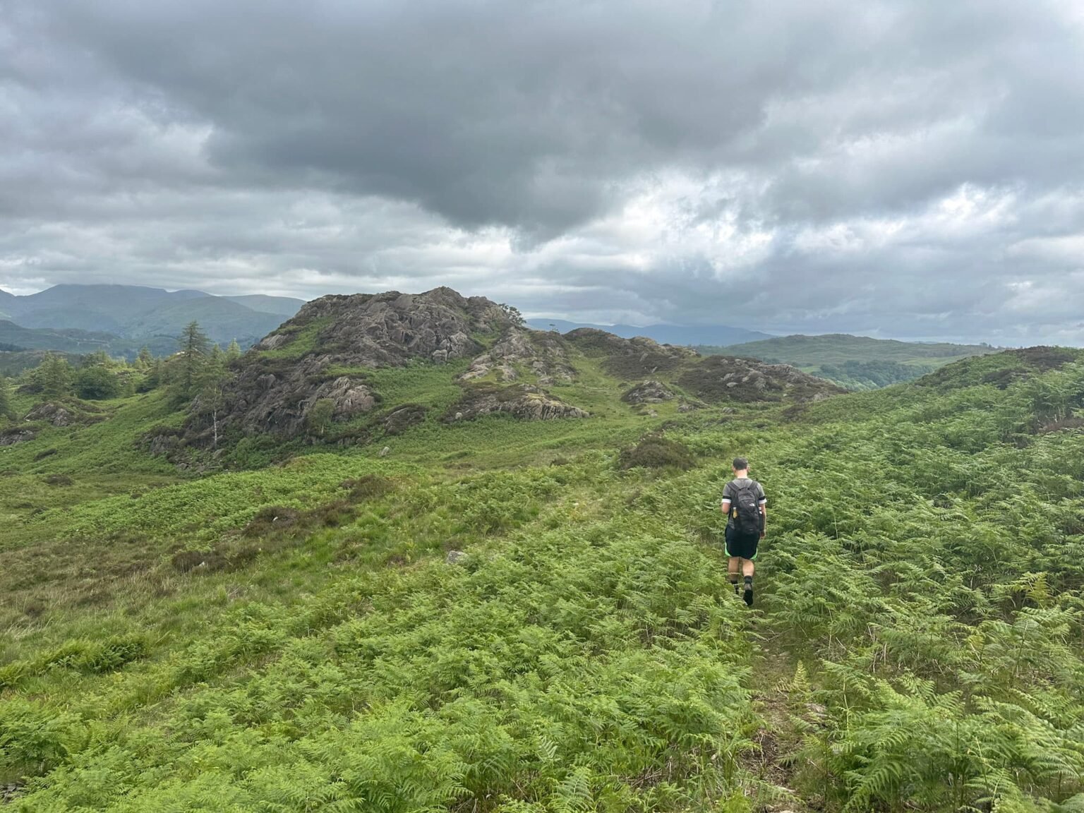 Holme Fell, Black Fell and Tarn Hows Waterfalls | 7 Miles