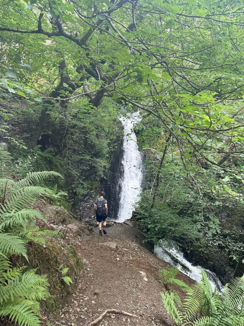 Holme Fell, Black Fell and Tarn Hows Waterfalls | 7 Miles