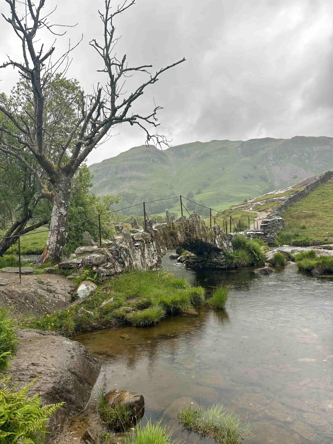 How to Find Slater Bridge | The Wandering Wildflower