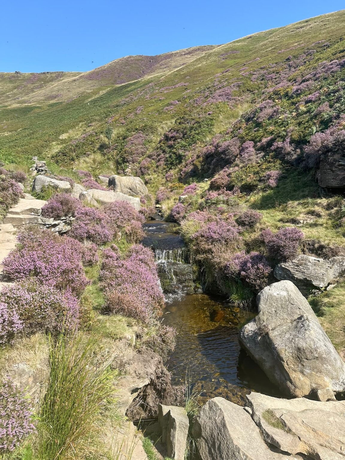 Crowden Clough Scramble | 7.5 Miles | The Wandering Wildflower