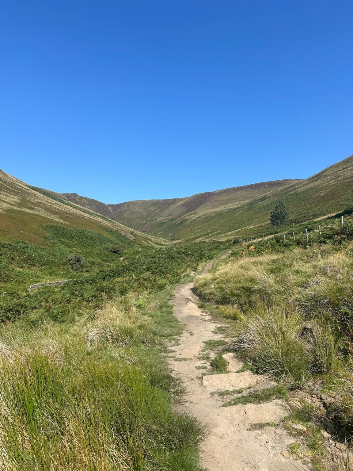 Crowden Clough Scramble | 7.5 Miles | The Wandering Wildflower