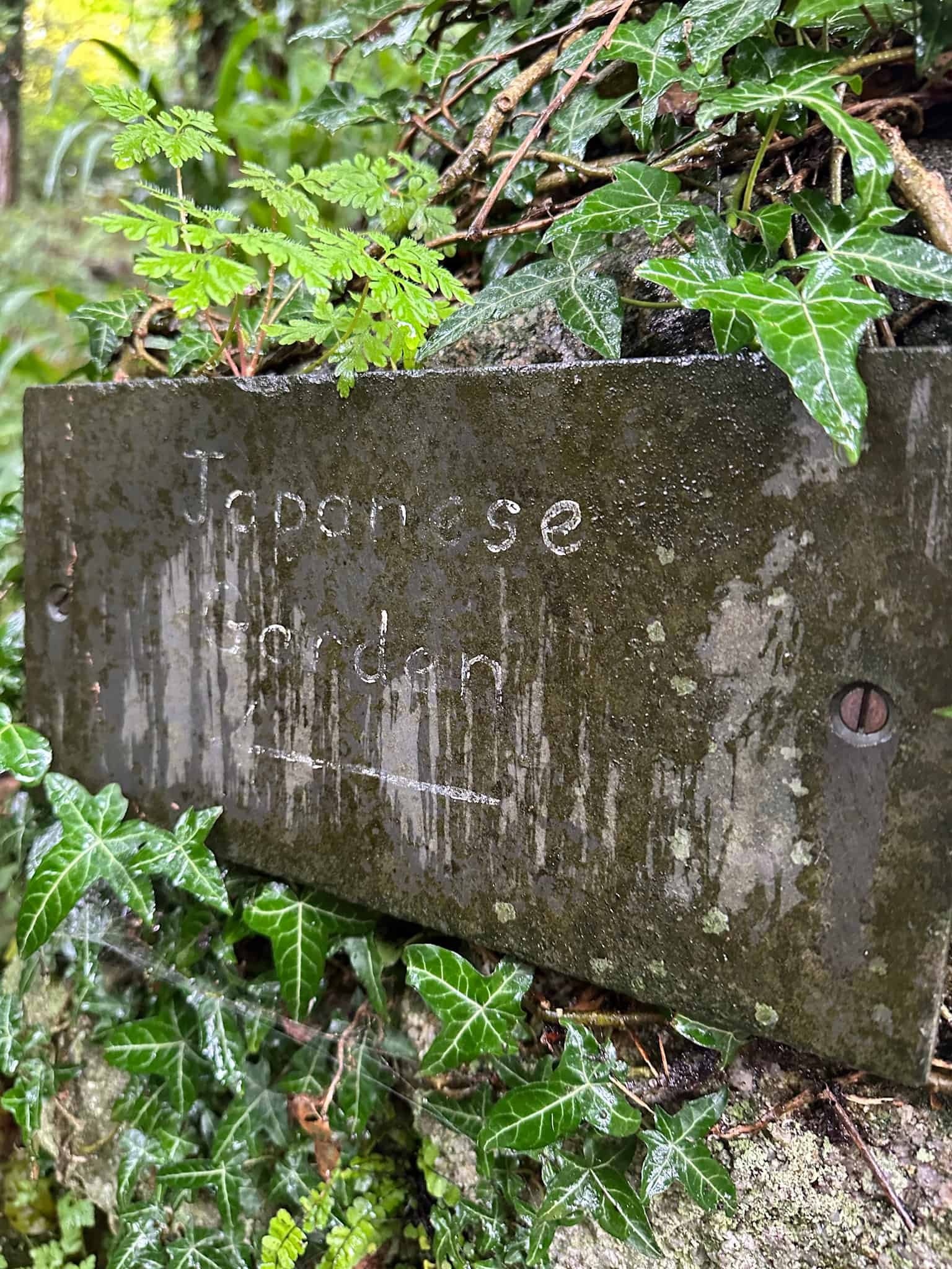 How to Find Giggle Alley: Eskdale’s Hidden Japanese Garden