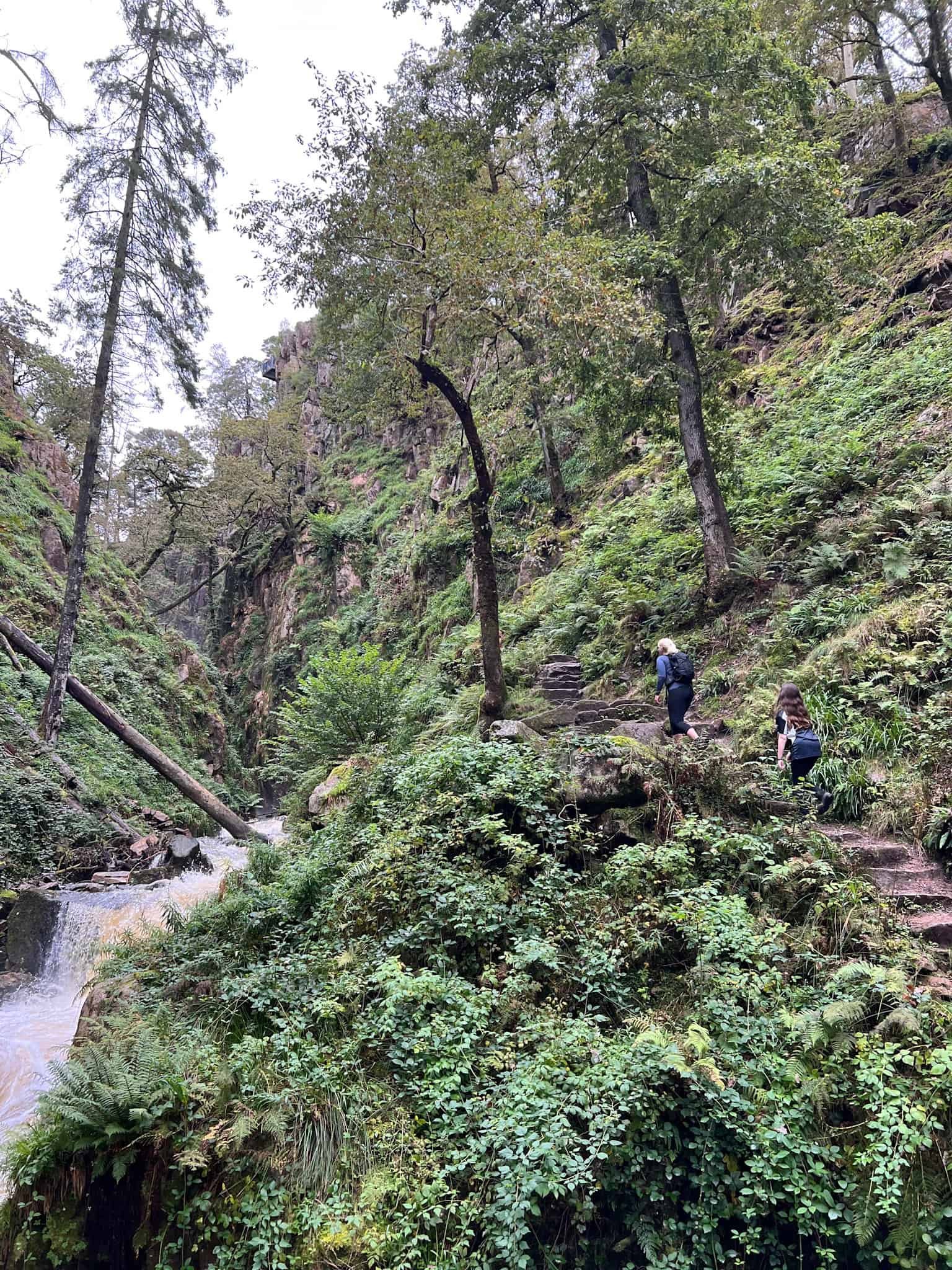 Gill Force and Stanley Ghyll Waterfall Loop | 3 Miles | The Wandering ...
