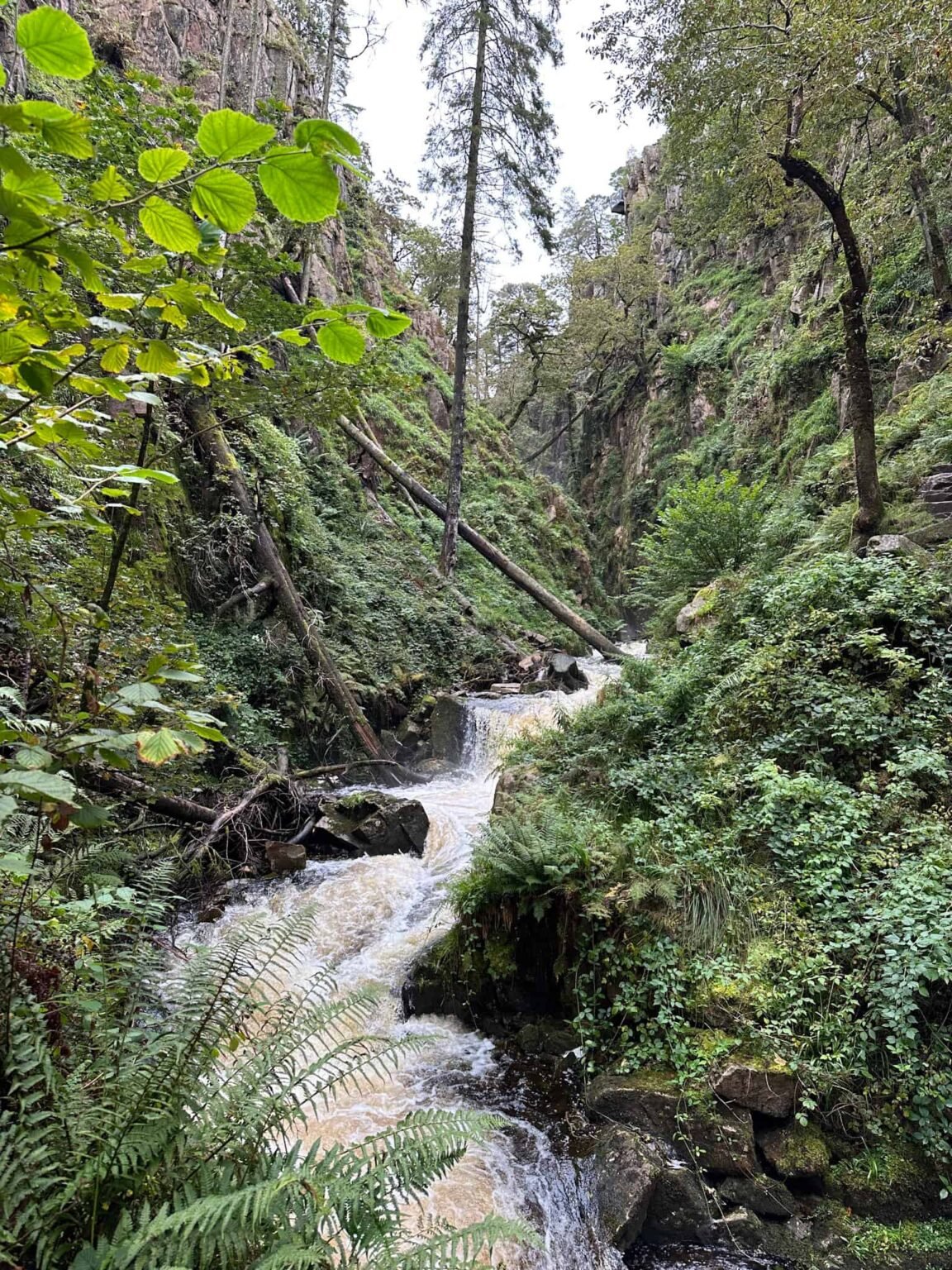 Gill Force and Stanley Ghyll Waterfall Loop | 3 Miles | The Wandering ...